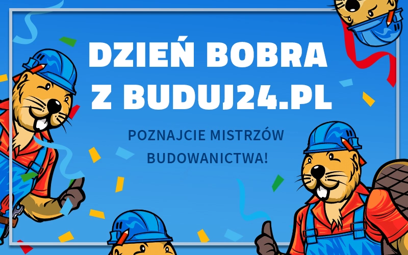 Dzień Bobra z buduj24.pl – poznajcie mistrzów budownictwa ...